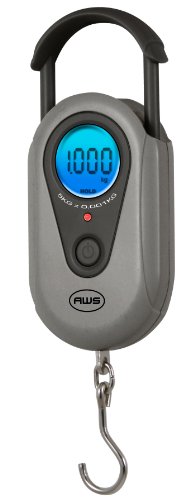 Shop American Weigh Scale Sr-1kg Gray Digital – Luggage Factory