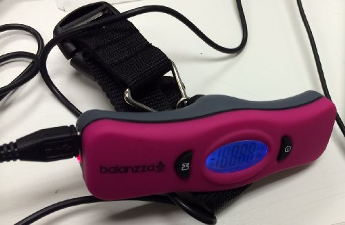 Shop Balanzza Mini Usb Rechargable Digital Lu – Luggage Factory