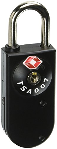 Shop Pacsafe Prosafe 750 Tsa Accepted Key-Car – Luggage Factory