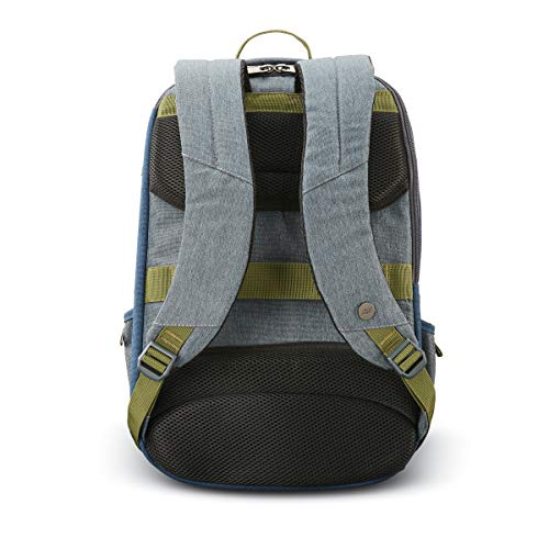 Shop American Tourister Dig Dug Backpack, Gre – Luggage Factory