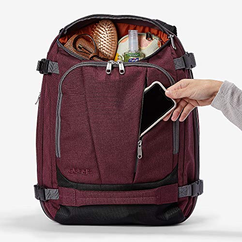 Shop eBags Mother Lode Jr Travel Backpack (Br – Luggage Factory