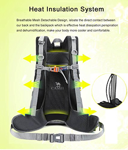 Shop CAMEL CROWN 40L Lightweight Backpack Wat – Luggage Factory