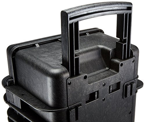Shop Amazonbasics Hard Camera Case - Large – Luggage Factory
