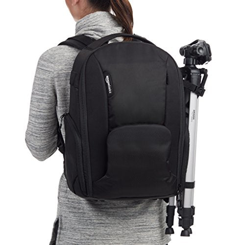 Shop Amazonbasics Dslr And Laptop Backpack – Luggage Factory