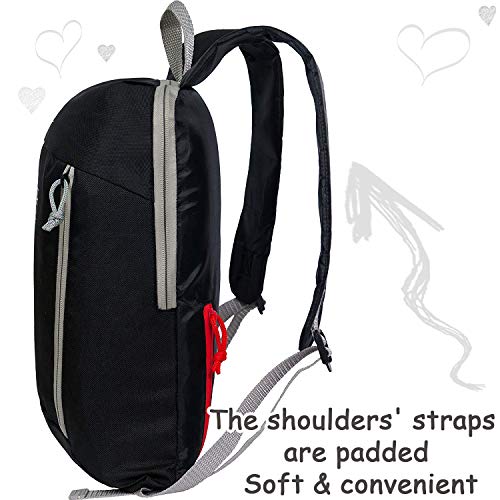 Shop Chieflines Small Backpack 10L Hiking Day – Luggage Factory