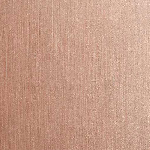 Shop Samsonite Novaire 20" Spinner Rose – Luggage Factory