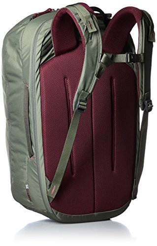 Shop Gregory Border 35 Daypack, Thyme Green, – Luggage Factory