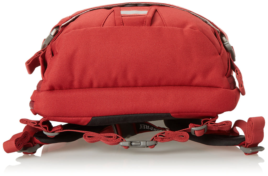 Shop Osprey Packs Pixel Daypack, Pinot Red – Luggage Factory